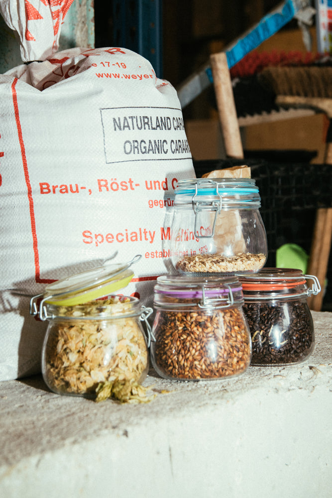 Tout savoir sur le malt, cet ingrédient clé de la bière – GALLIA PARIS