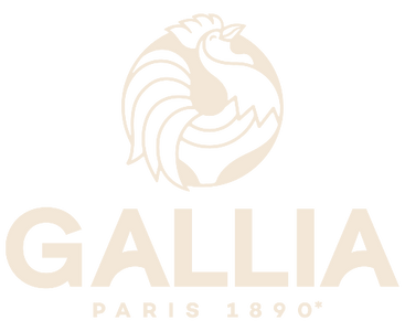 Le brassage de la bière : processus étape par étape – GALLIA PARIS