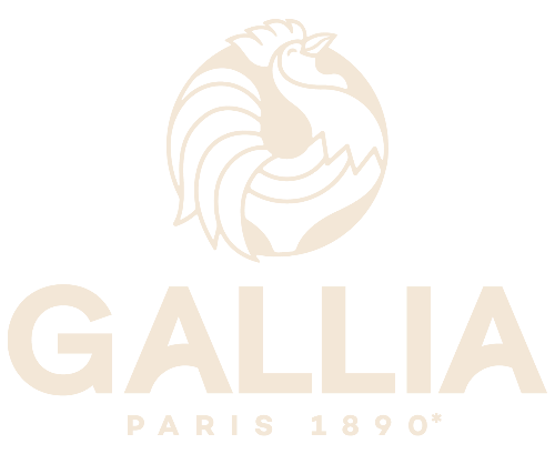 Le brassage de la bière : processus étape par étape – GALLIA PARIS